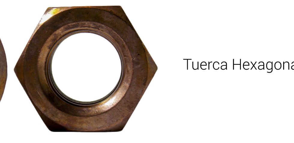 Tornillo de Bronce - Tecnofijaciones
